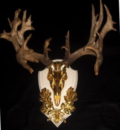 Heritage Game Mounts Portfolio » Heritage Game Mounts