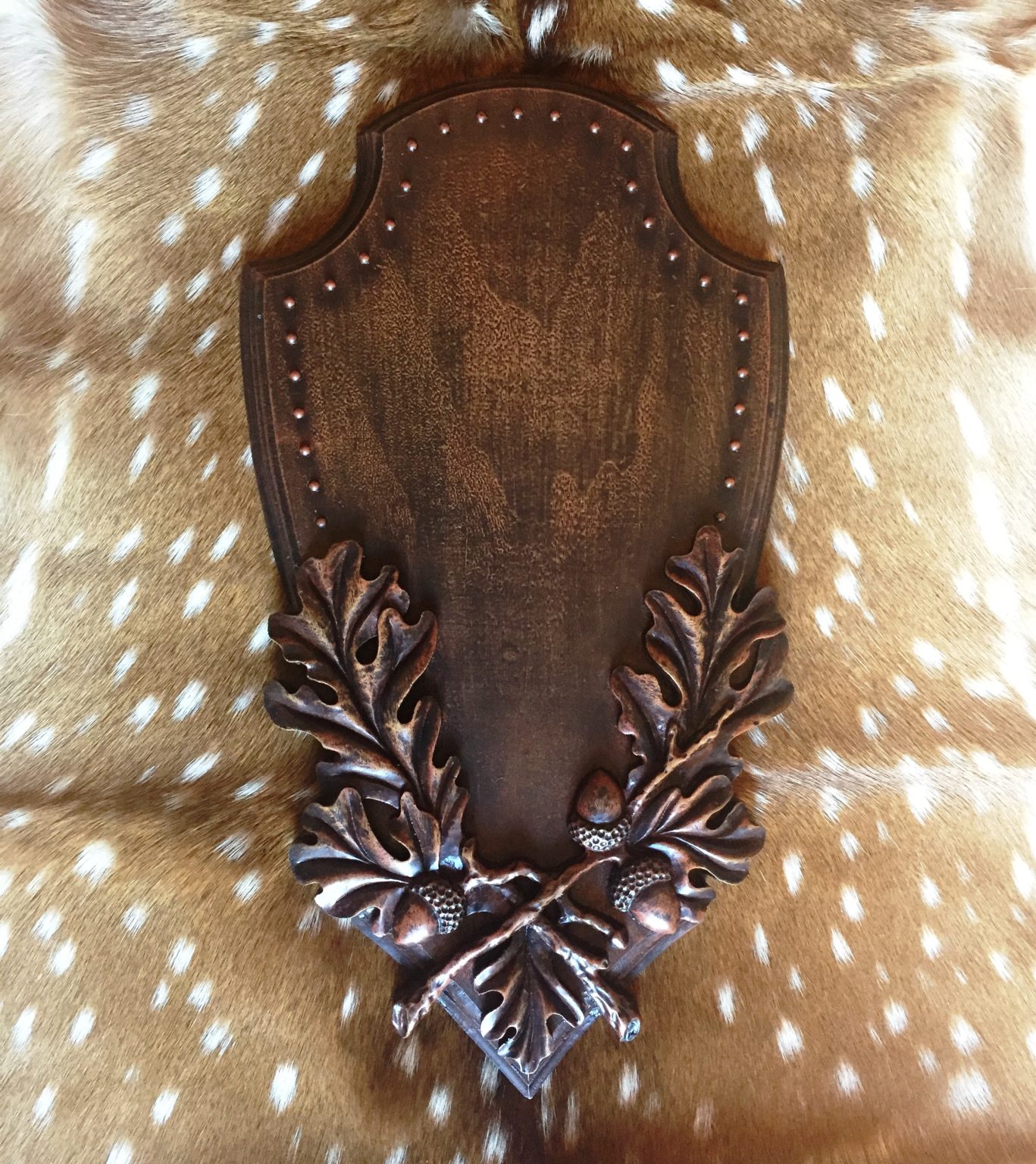 The Tradition European Antler Panel » Heritage Game Mounts