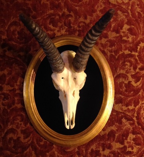 Heritage Game Mounts Portfolio » Heritage Game Mounts