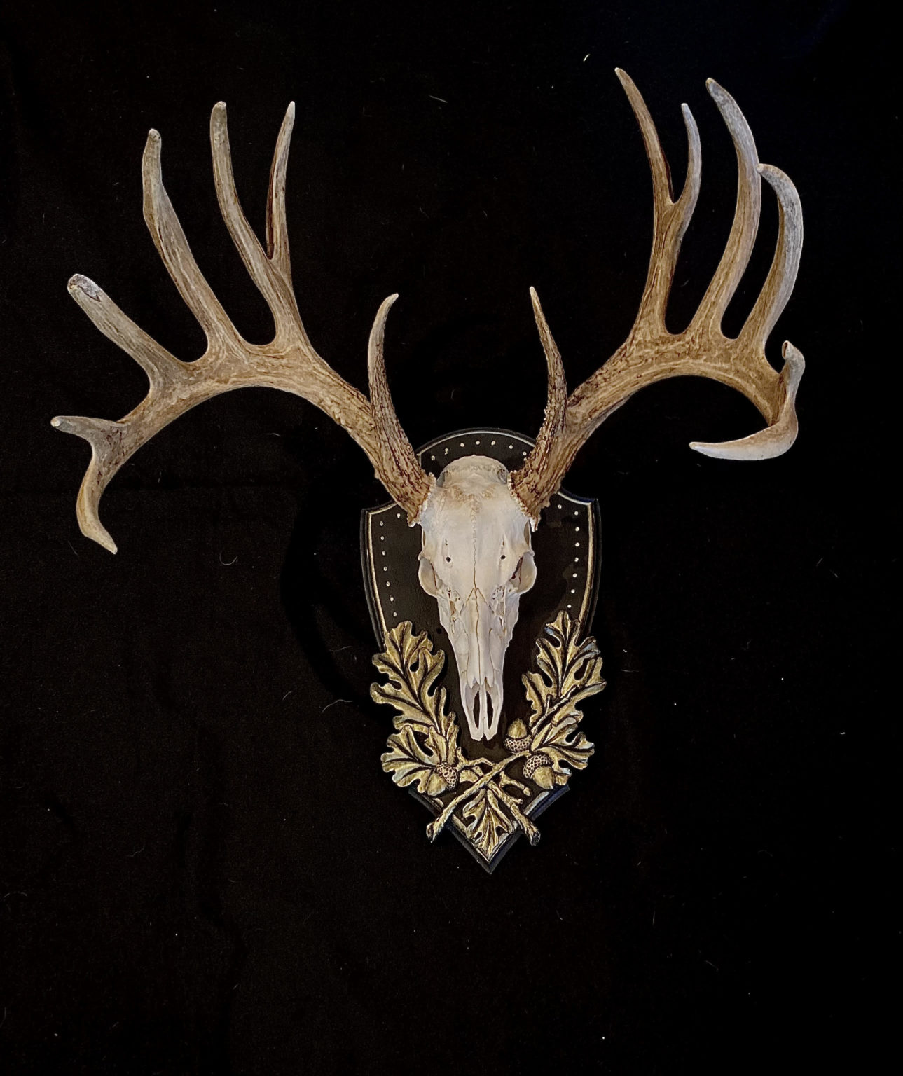 The Tradition European Antler Panel » Heritage Game Mounts